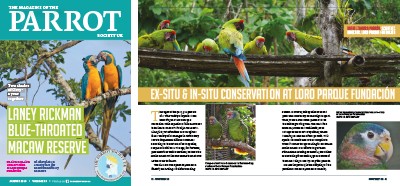 PSUK Magazine - The Parrot Society UK