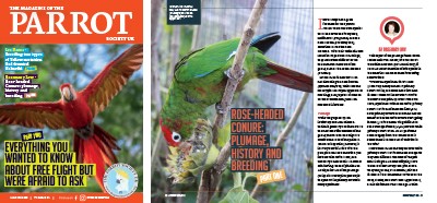 PSUK Magazine - The Parrot Society UK